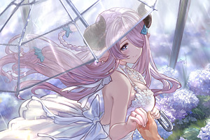 [7+] Narmaya (granblue fantasy) (Narumeia) Wallpapers | PixieWall