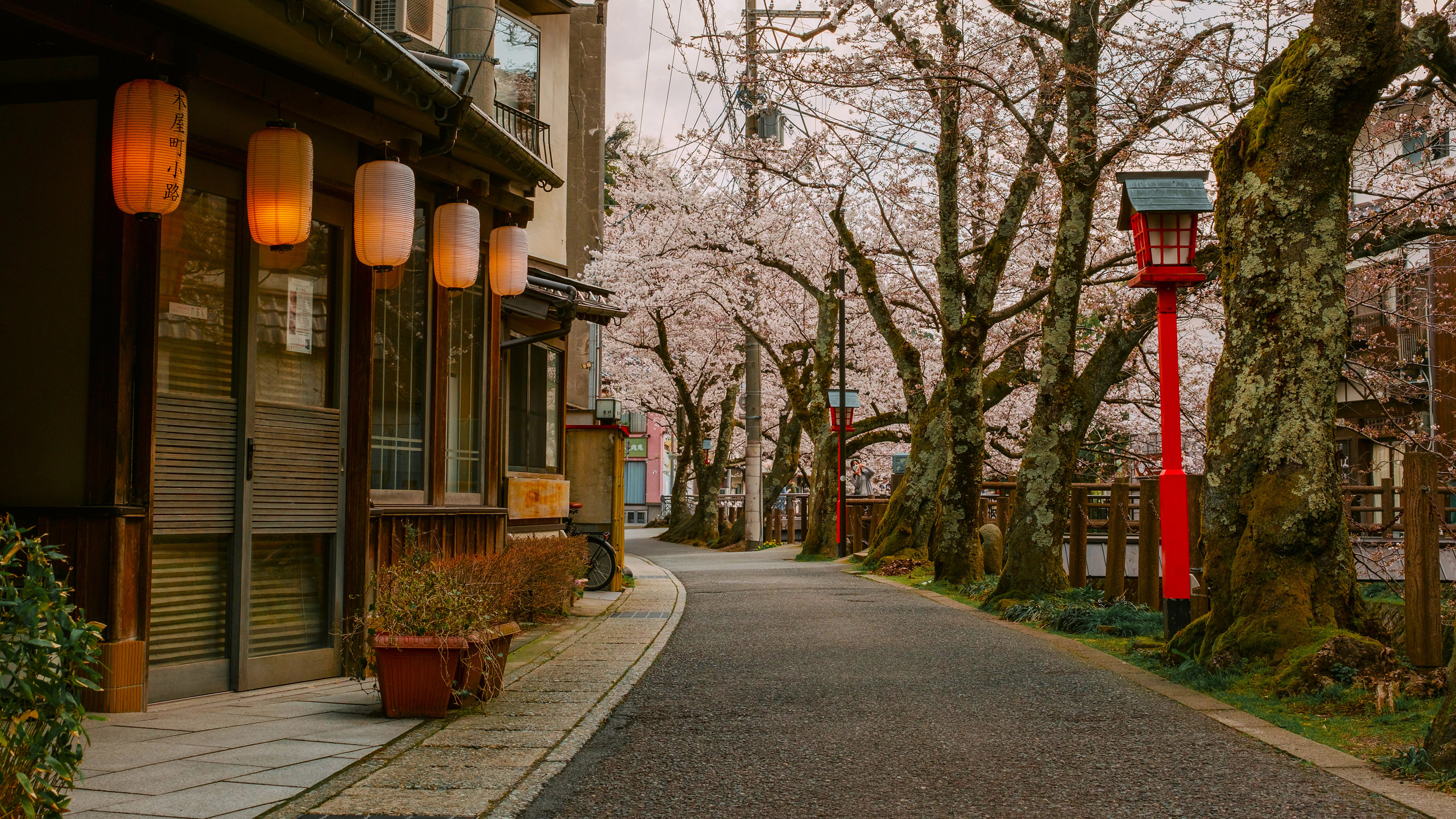 Kinosaki Onsen Japan Cherry Blossom Street 4K & 5K Wallpaper