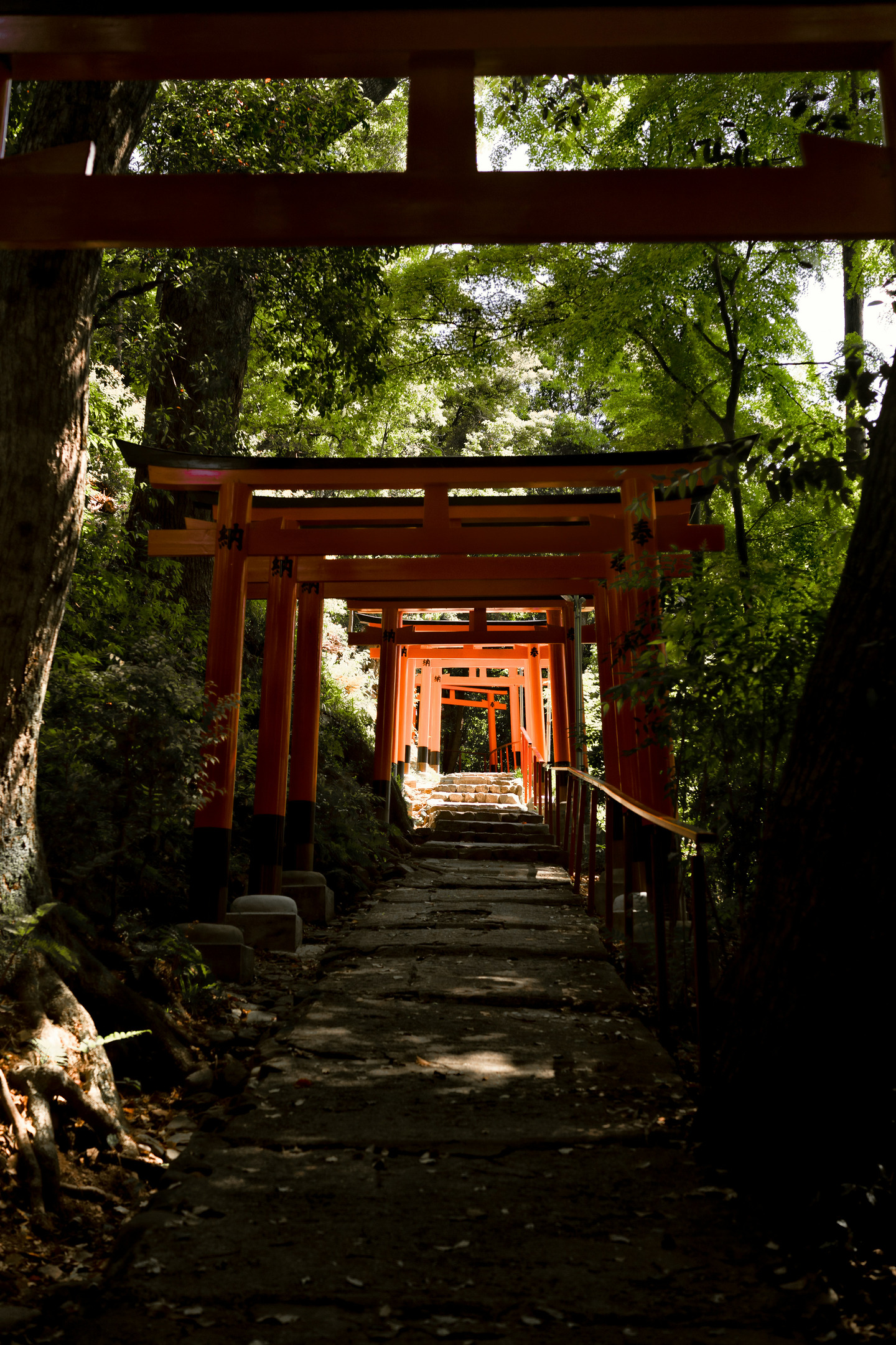 Kyoto Japan Torii Gate Path Through Forest Mobile Wallpaper