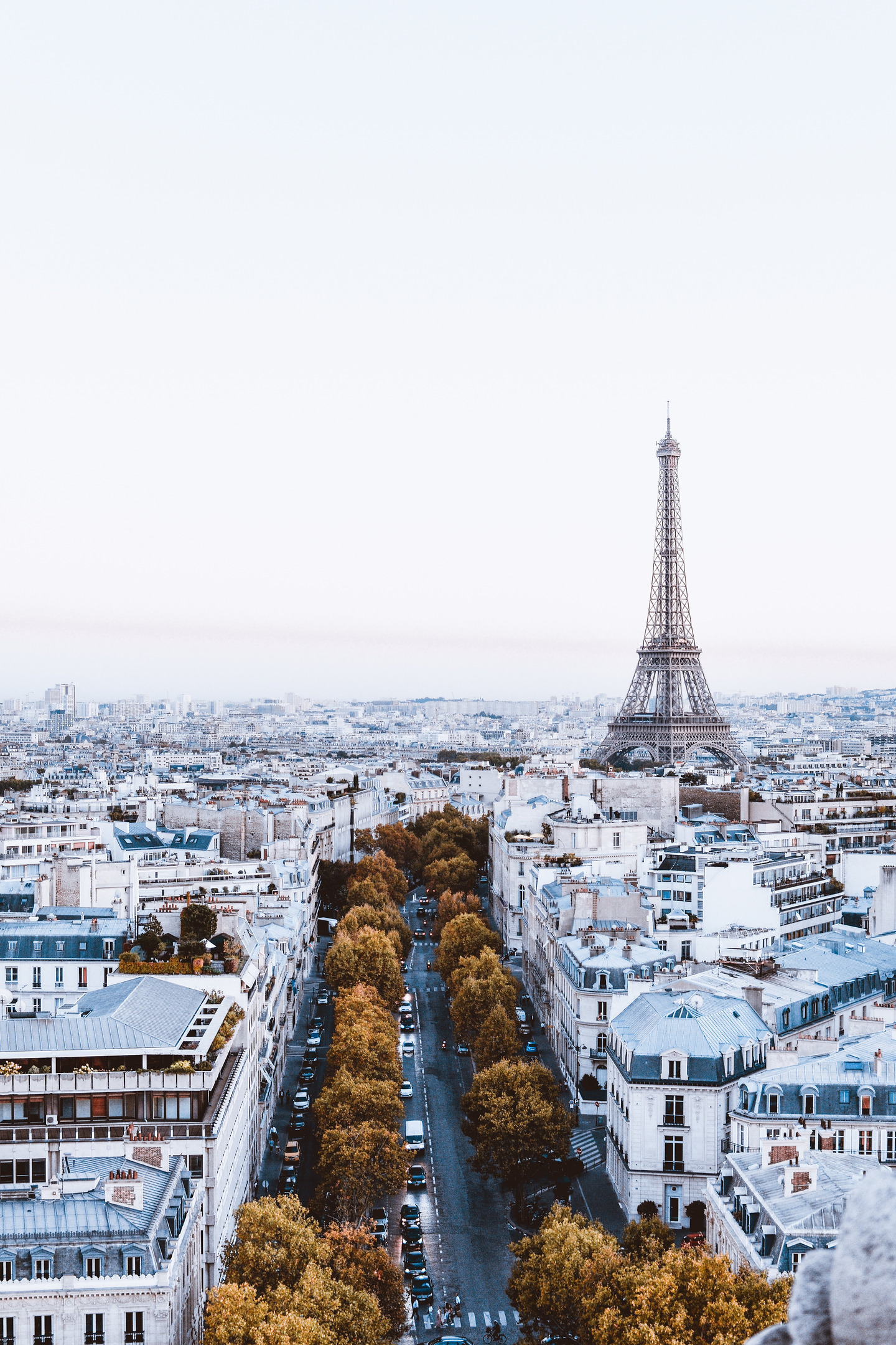 Eiffel Tower Paris City White Aesthetic Mobile Wallpaper | PixieWall