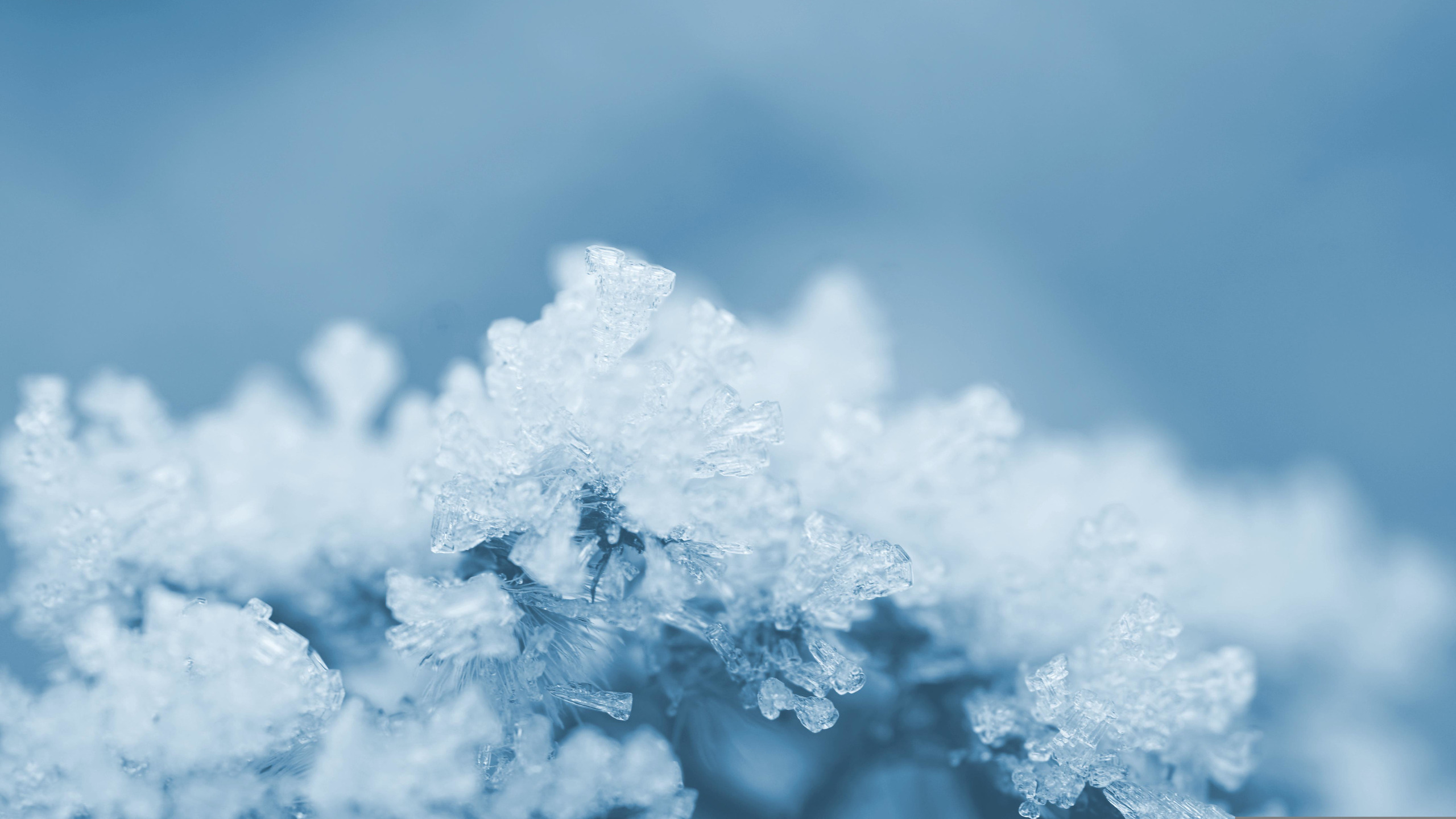 Ice Crystals Frost Winter Macro 4K & 5K Wallpaper | PixieWall