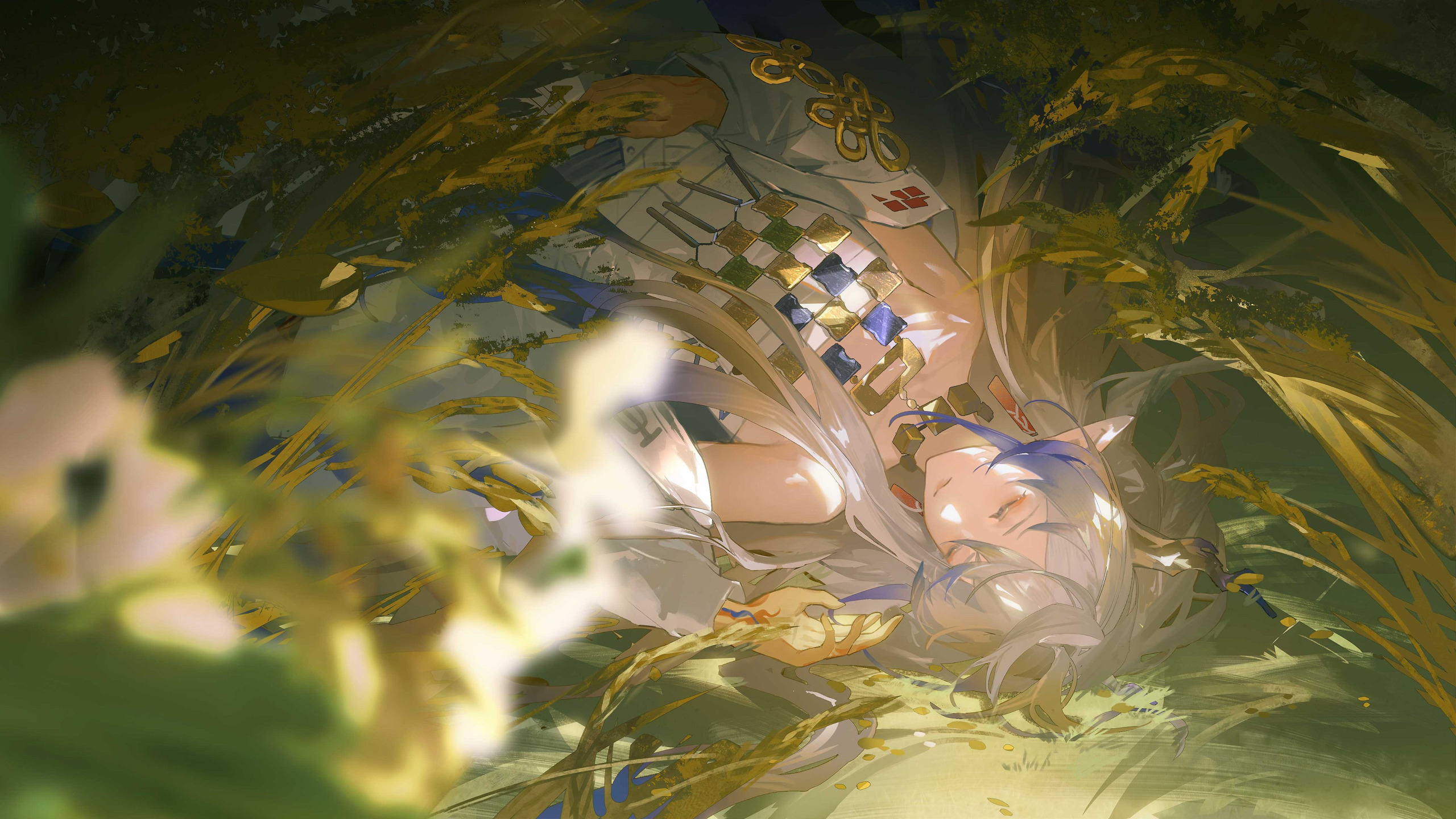 Shu Arknights Sleeping In Rice Field 4k Wallpaper | PixieWall
