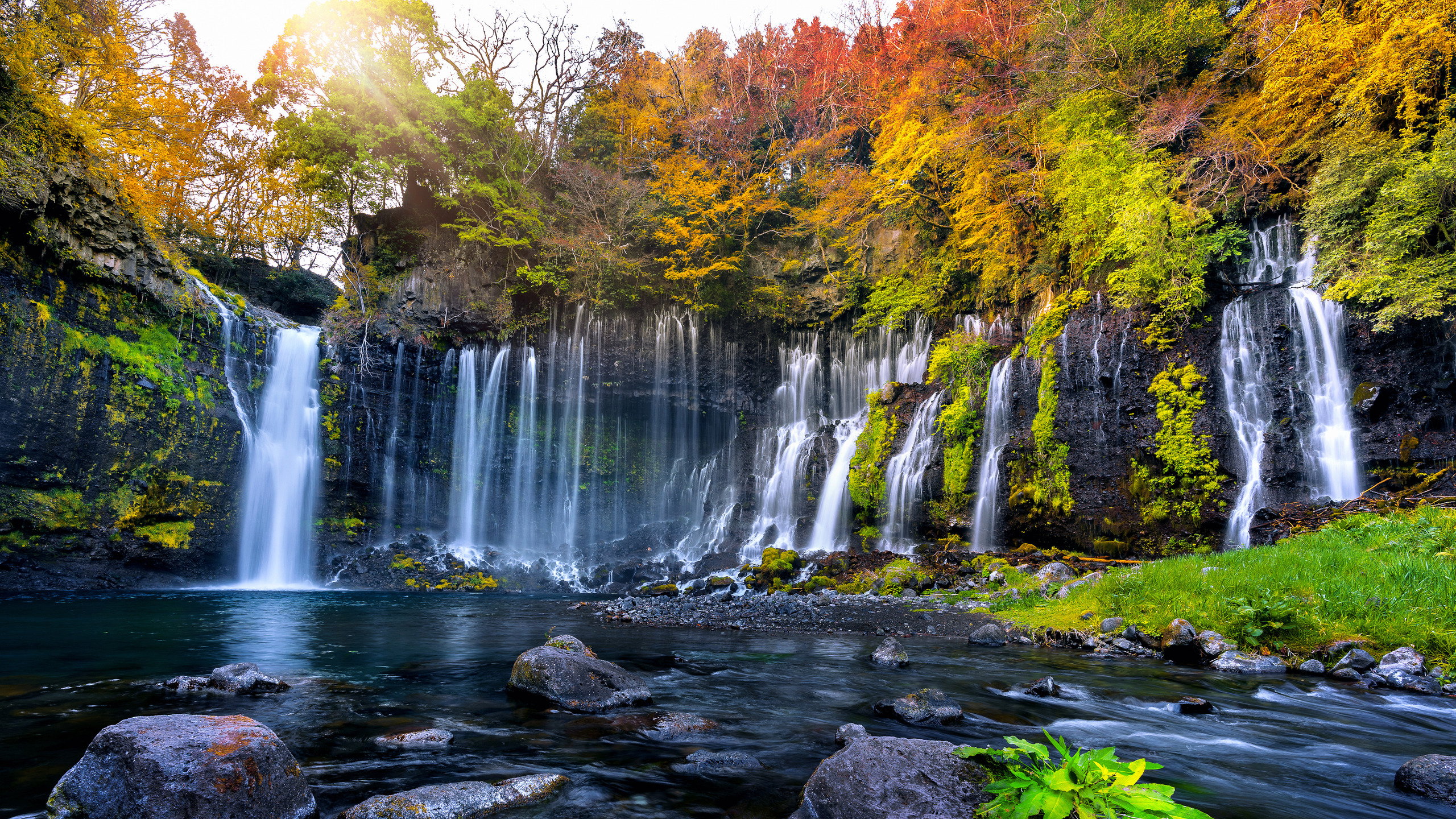 Shiraito Falls Fujinomiya Autumn 4k Wallpaper | PixieWall