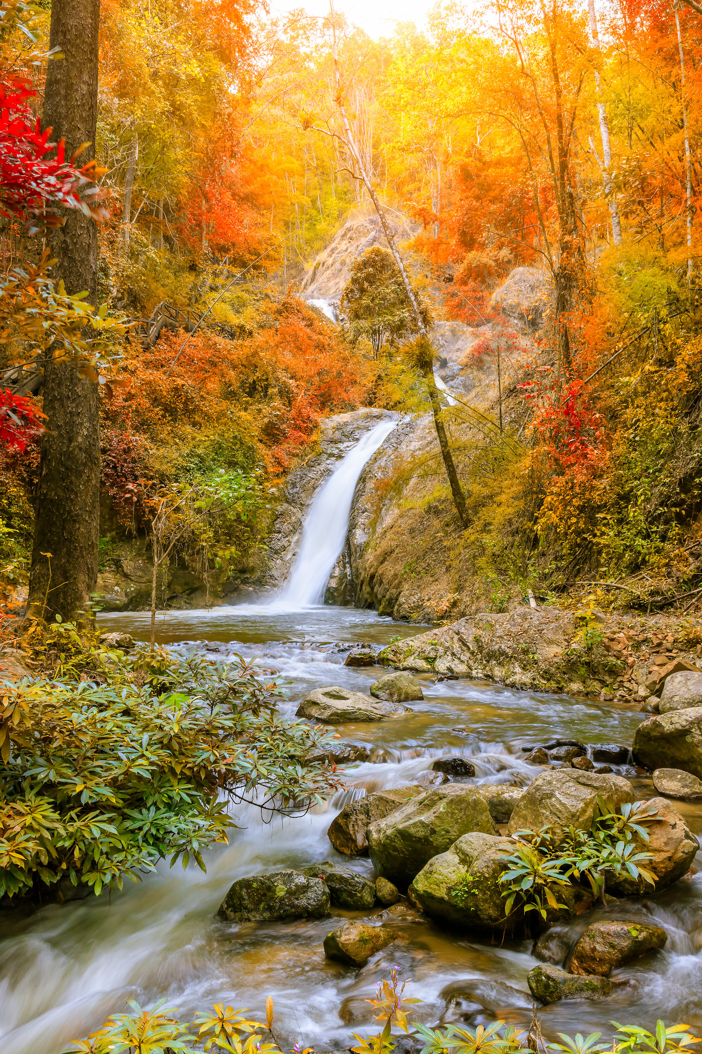 Chae Son National Park Waterfall Autumn 4k Mobile Wallpaper