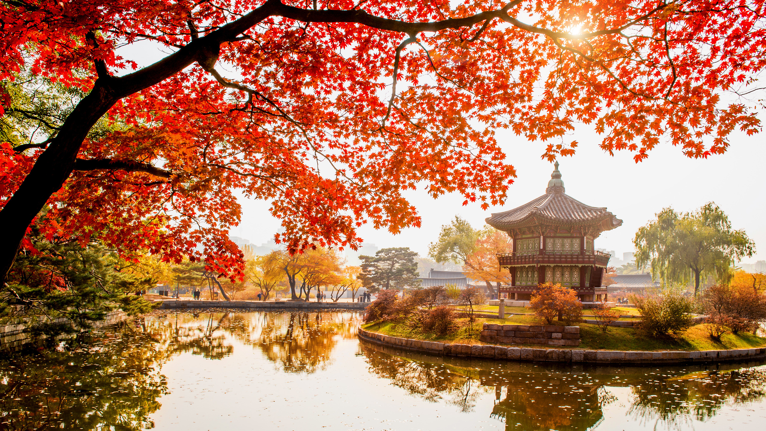 Gyeongbokgung Autumn Pond Seoul 4k Wallpaper | PixieWall