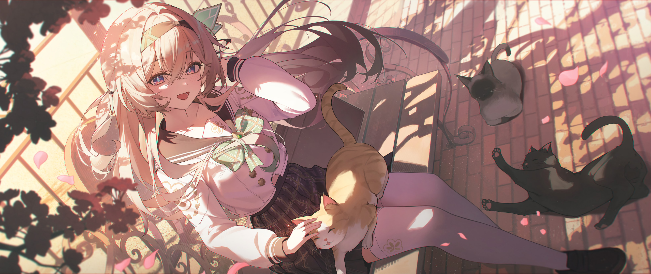 Firefly Honkai Star Rail Cats 8k Ultrawide Wallpaper | PixieWall