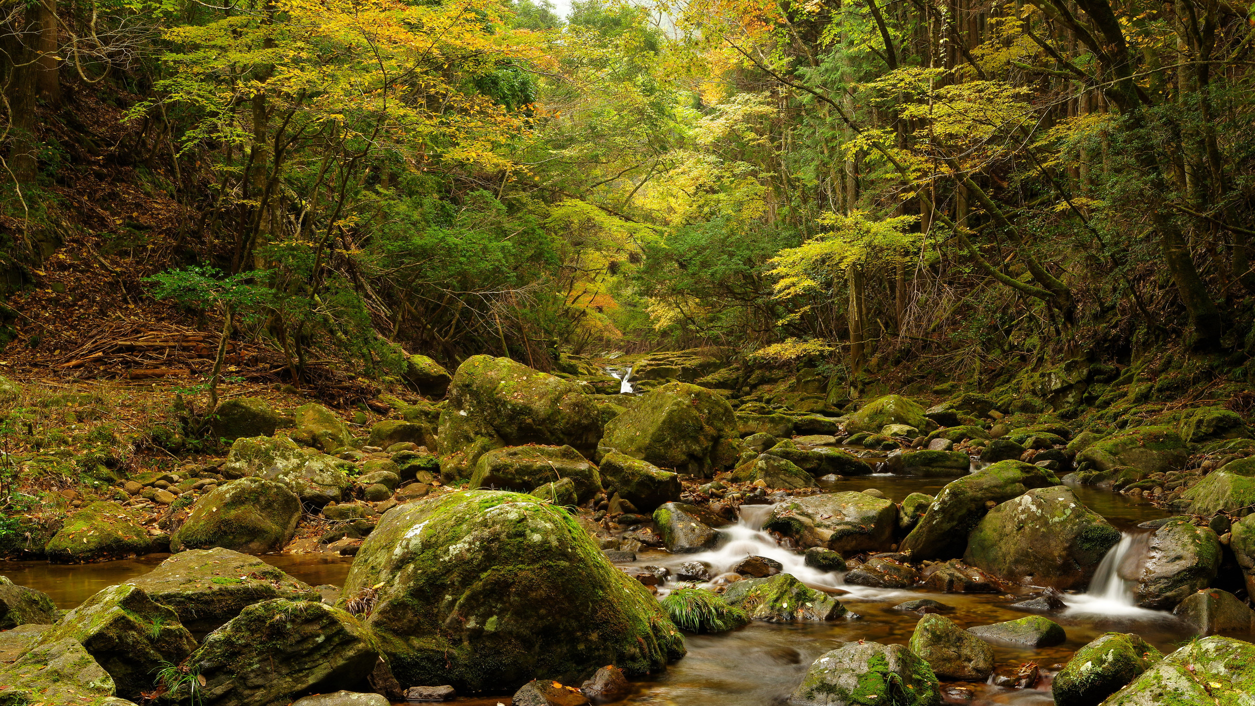 Mazeno Valley Kumamoto Japan 4k Wallpaper | PixieWall