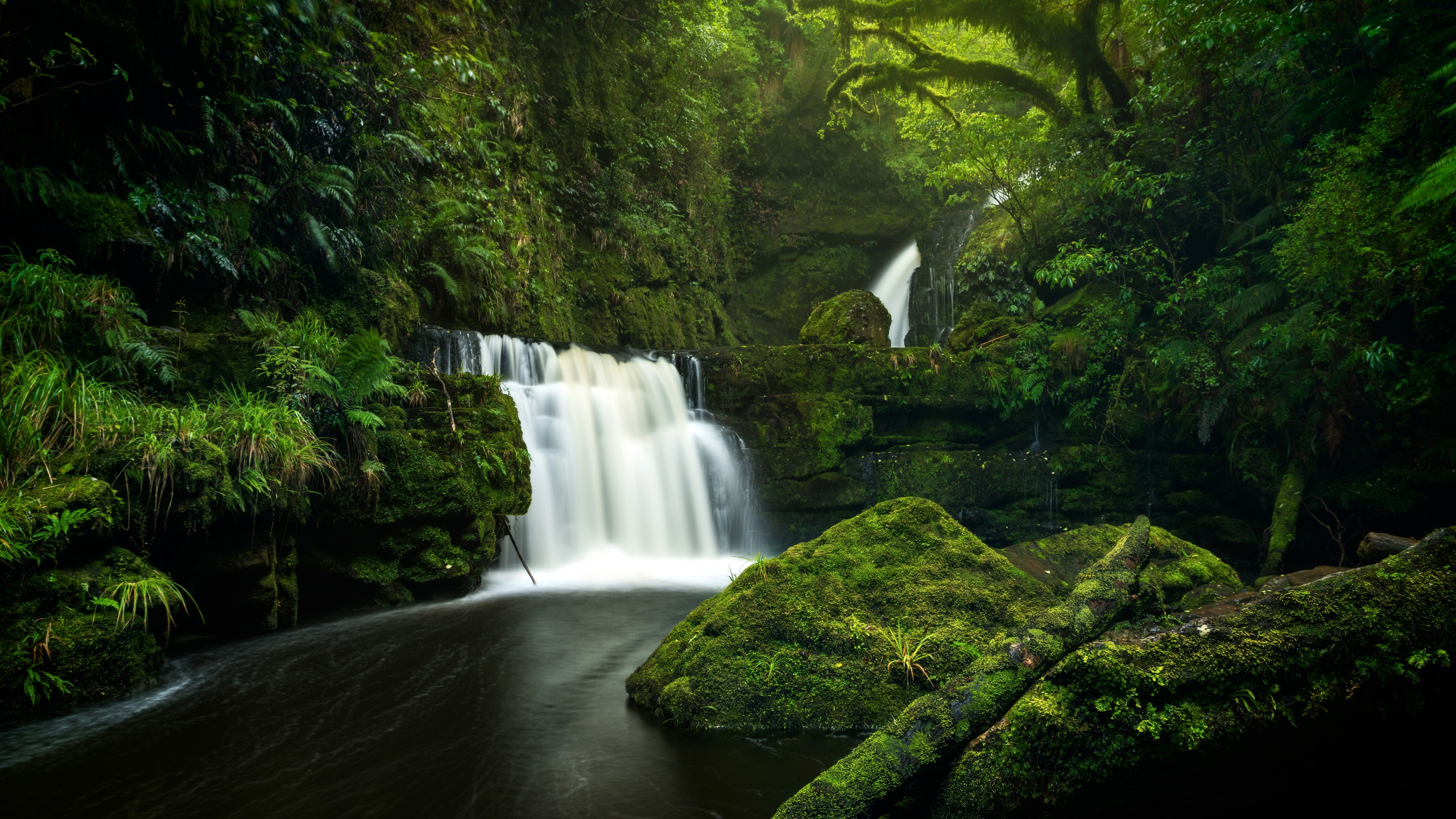 New Zealand Rainforest Waterfall 4K 5K Wallpaper PixieWall new-zealand-rainforest-waterfall-4k-5k-wallpaper-pixiewall